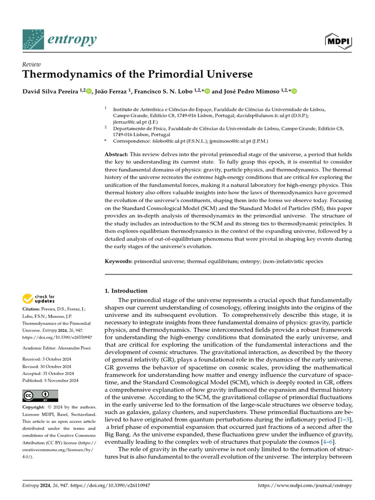 Thermodynamics of the Primordial Universe | PDF | Universe | Chronology ...