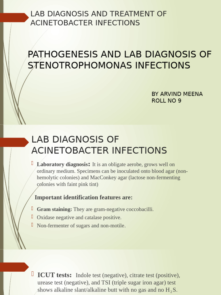 Lab Diagnosis and Treatment of Acinetobacter Infections | PDF | Beta ...