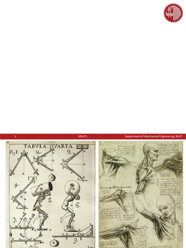 Lec_biomechanics of movements | PDF | Walking | Force