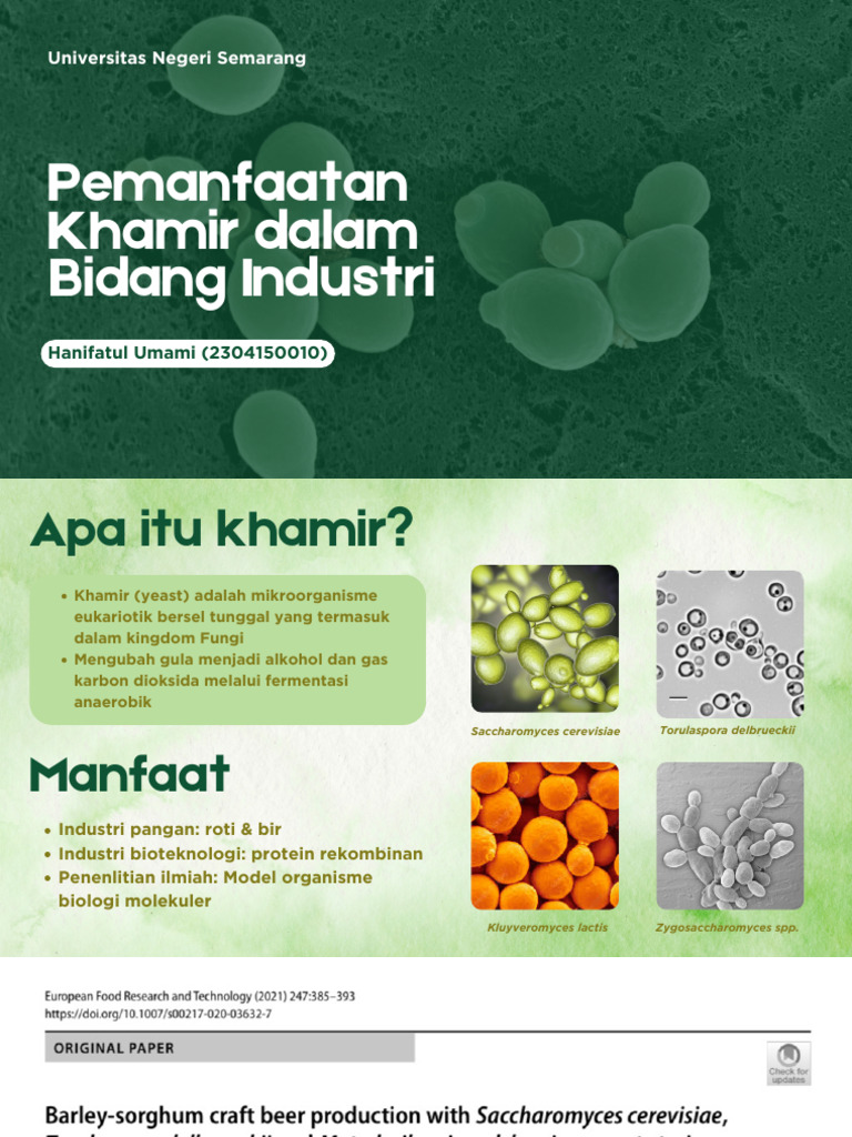 Kinerja Fermentasi Khamir pada Produksi Bir | PDF