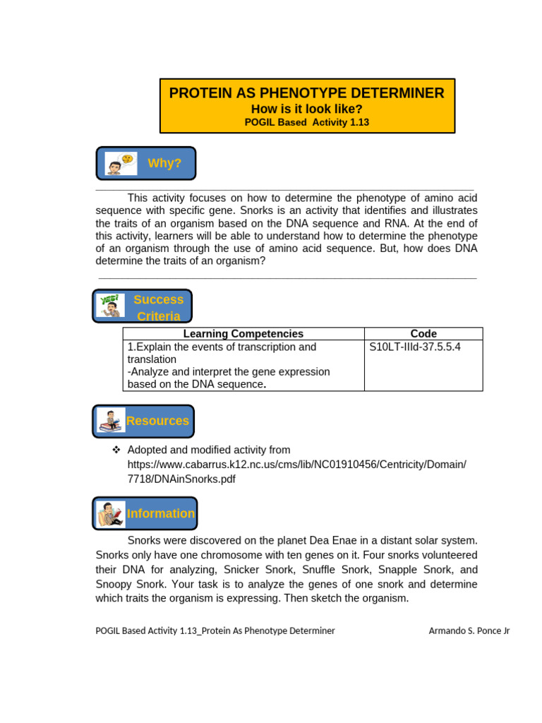 POGIL 13 Protein as Phenotype Determiner | PDF | Gene | Translation ...