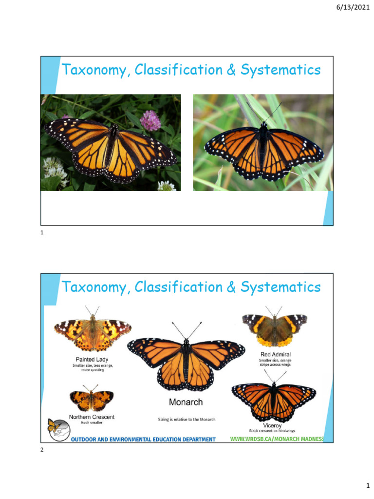 Taxonomy and Systematics Overview | PDF | Taxonomy (Biology) | Taxon
