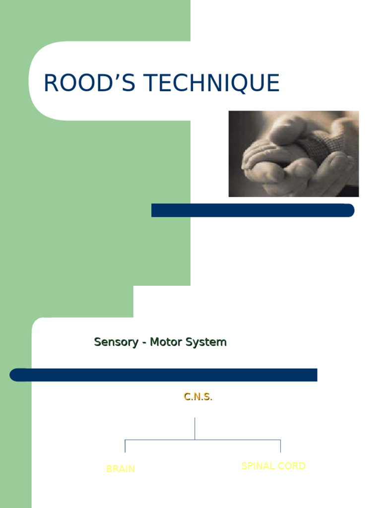 Rood's | PDF | Somatosensory System | Nervous System