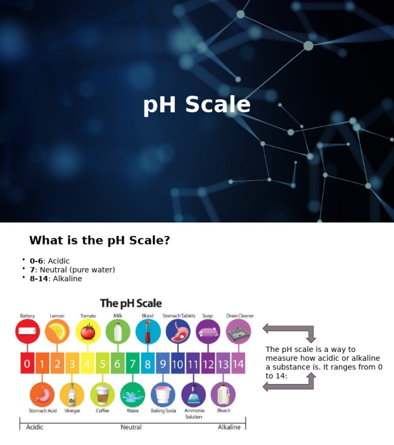 Understanding the pH Scale Basics | PDF