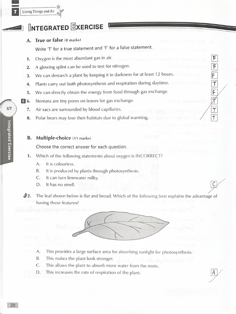 Integrated Exercise for abc1234aba | PDF