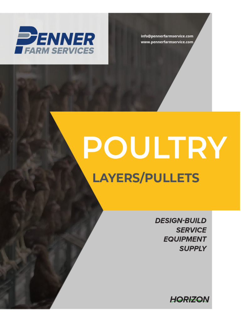 PFS Poultry Sector Layer Overview Brochure V3 No Bleed | PDF | Farms ...