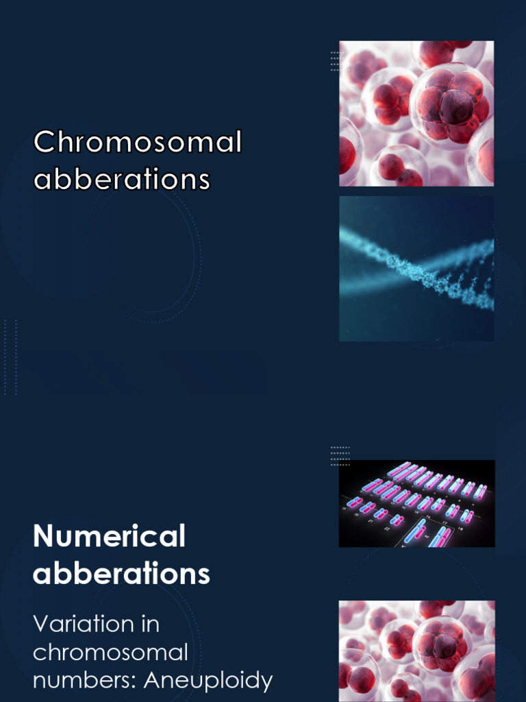 Chromosomal Aberrations: Aneuploidy Insights | PDF | Meiosis | Ploidy
