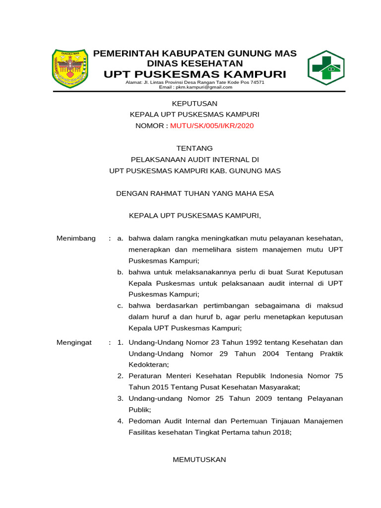 CONTOH SK PELAKSANAAN AUDIT INTERNAL (Oke) | PDF