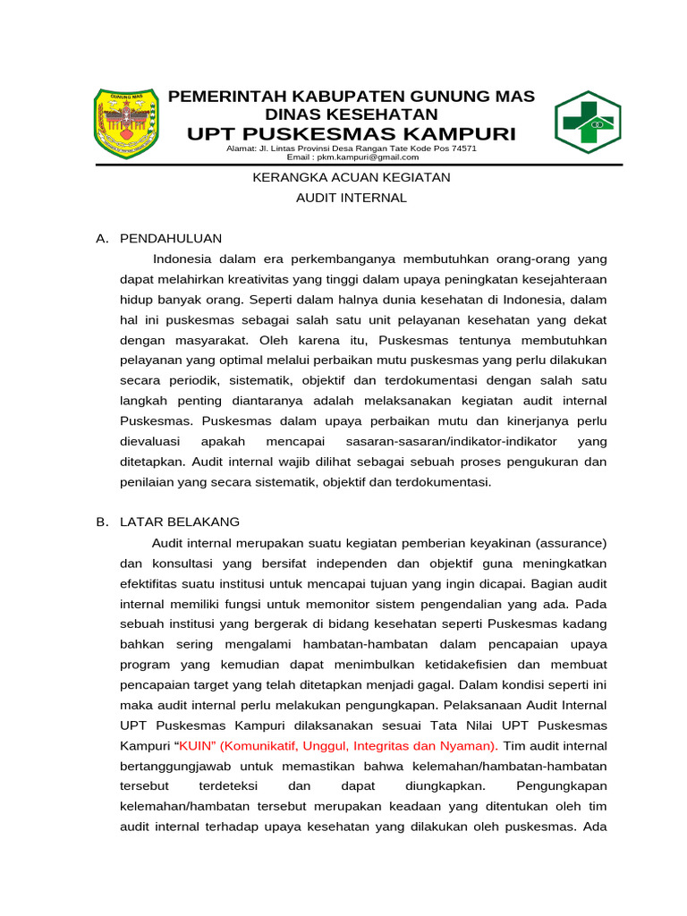 CONTOH KAK AUDIT INTERNAL (Oke) | PDF
