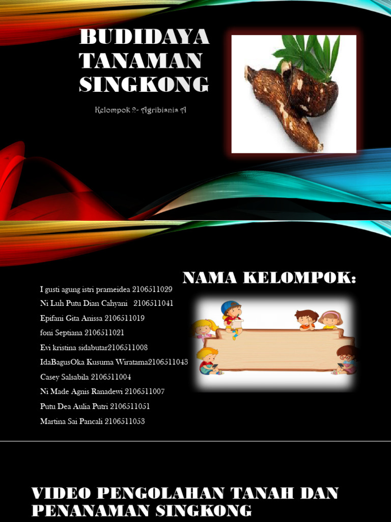 Budidaya Tanaman Singkong - PPTX HORTI 2 | PDF