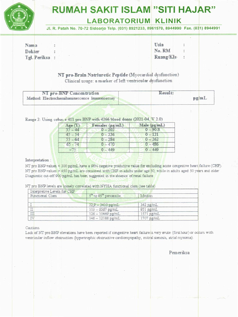 Tampilan Print Out Hasil Laborat Rujukan | PDF