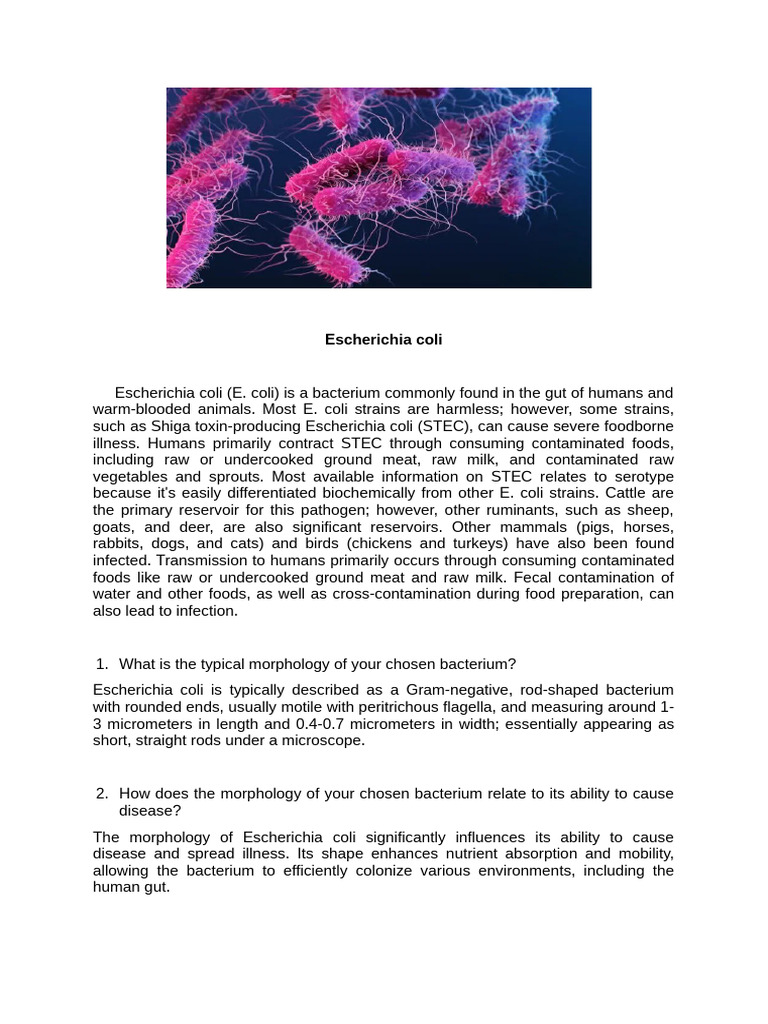 Escherichia coli MICROPARA | PDF | Escherichia Coli | Bacteria