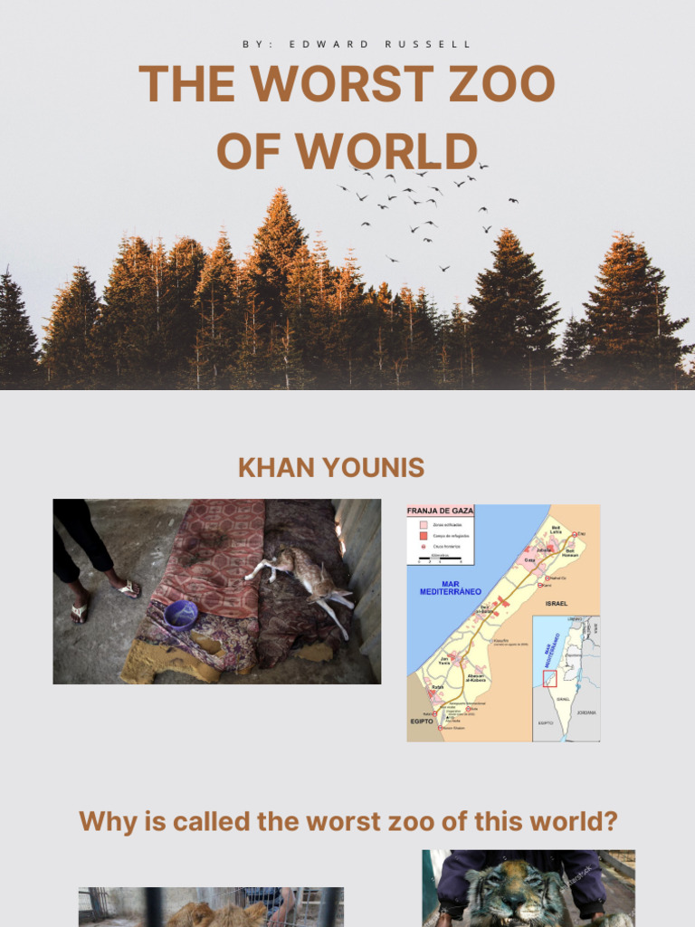 Brown Modern Conservation Presentation | PDF
