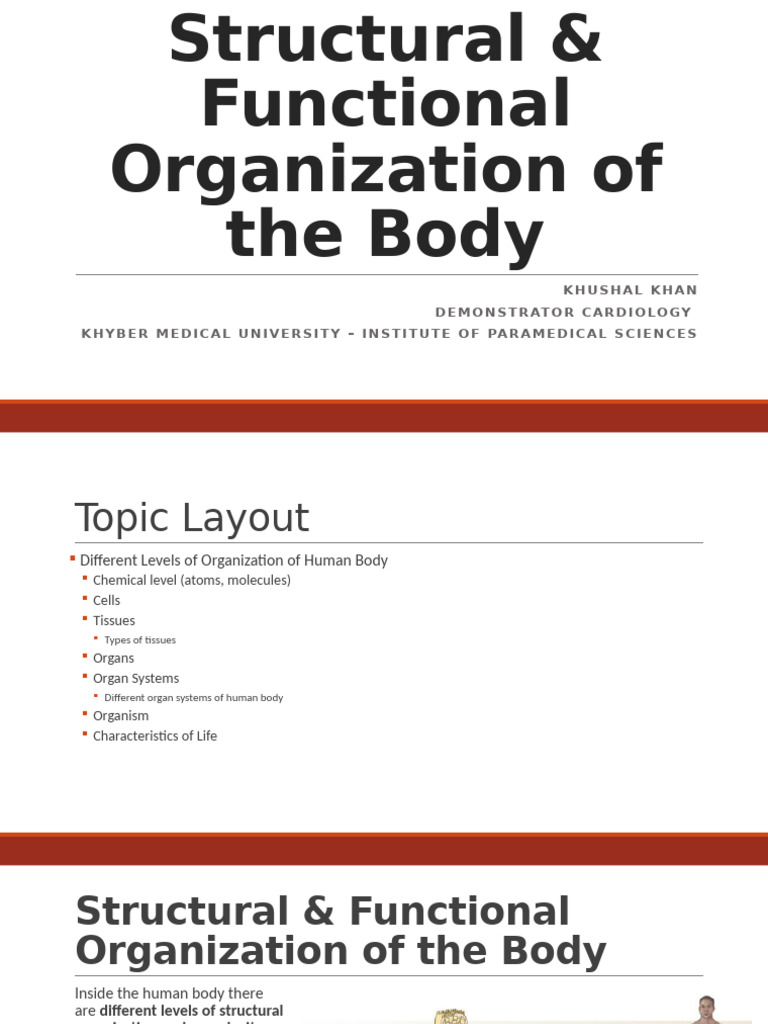 Lecture 02 - Structural & Functional Organization of the Body | PDF ...