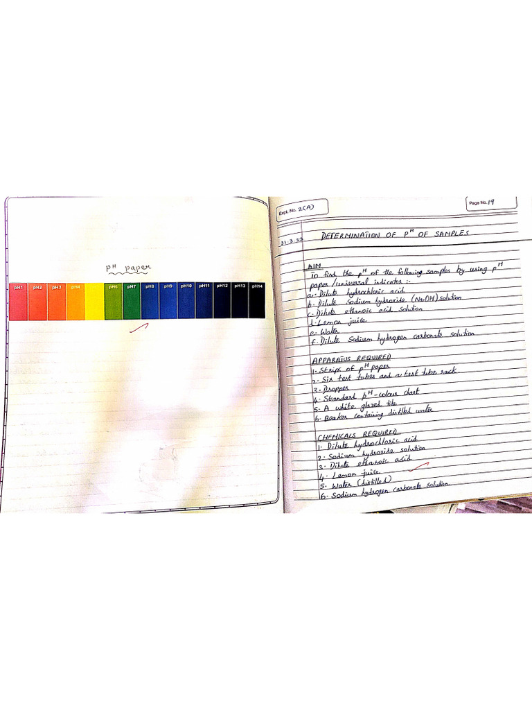 RECORD PH SAMPLES | PDF