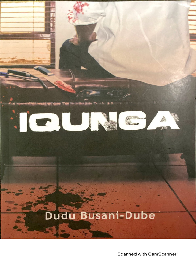 IQunga - Dudu Busani-Dube | PDF