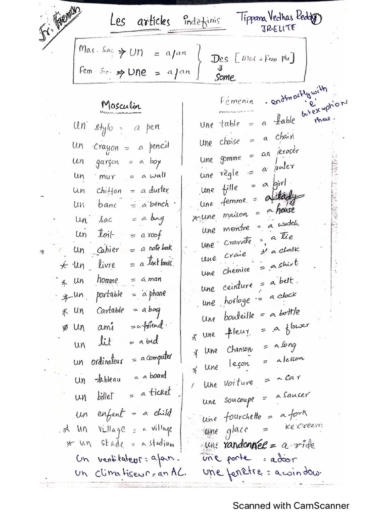 French First Year Notes | PDF