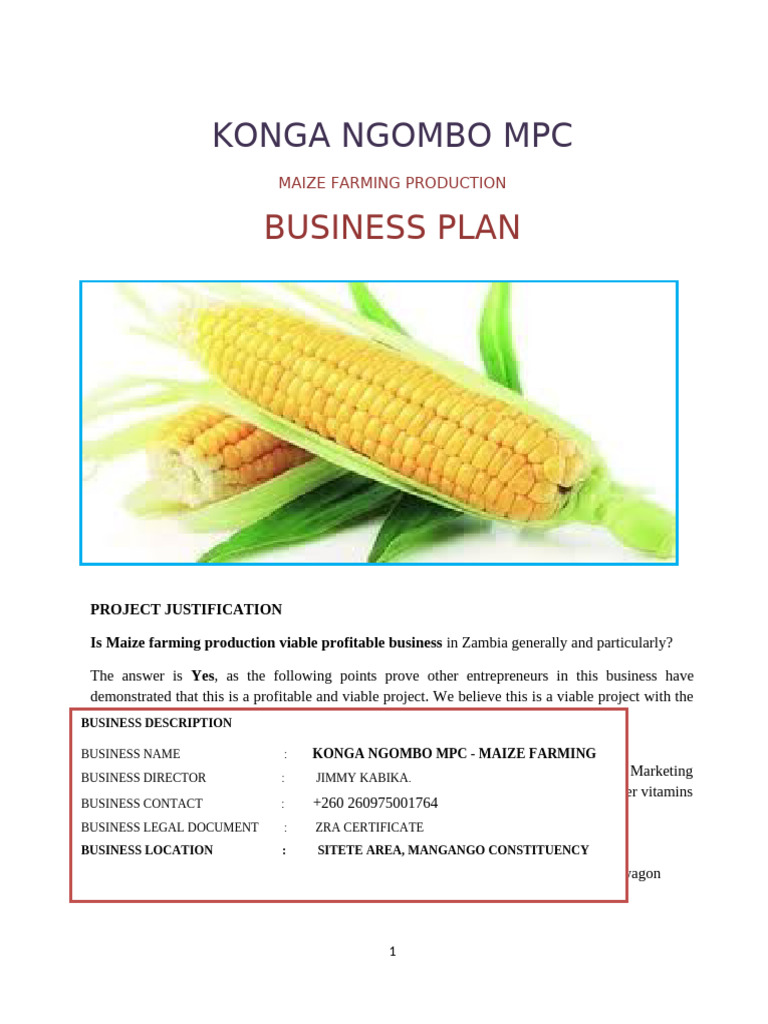 Konga Ngombo Business Plan. | PDF | Swot Analysis | Marketing