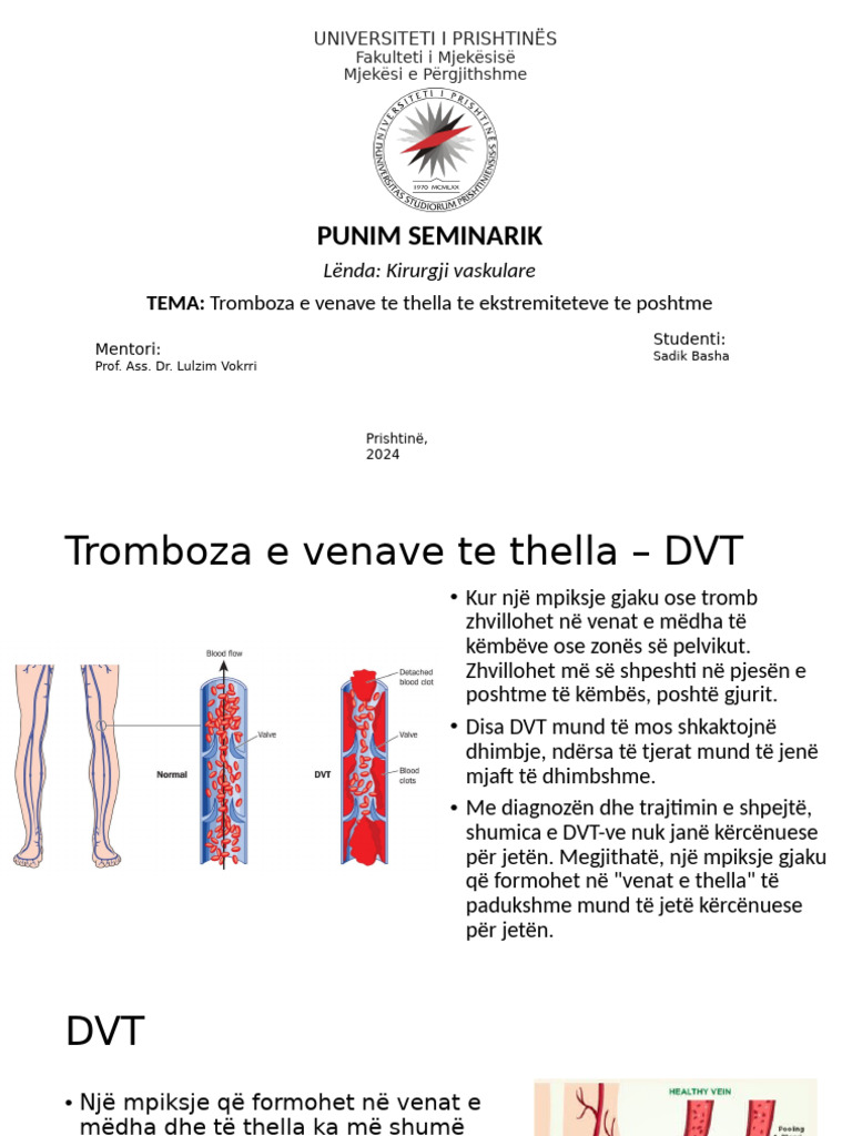 This DVT Sadik Basha | PDF