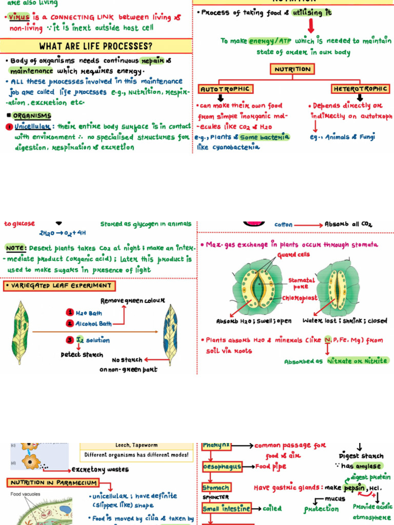 Complete Biology Notes (2) | PDF