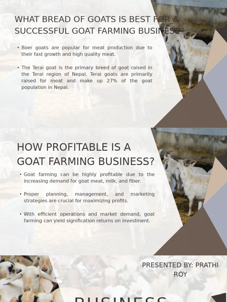 Terai Goat Farm and Breeding Center | PDF | Agriculture | Goat