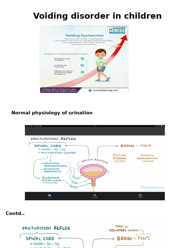 Voiding Disorder in Children.pdf | PDF | Urination | Urinary Incontinence