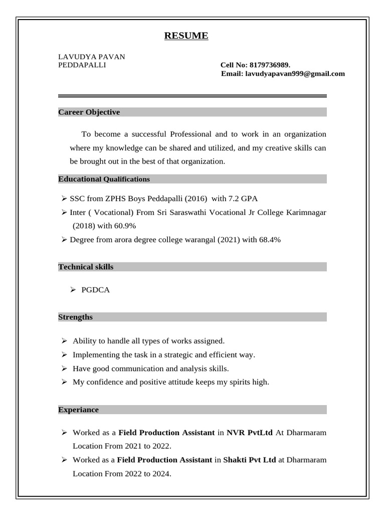Pavan Resume 2 | PDF