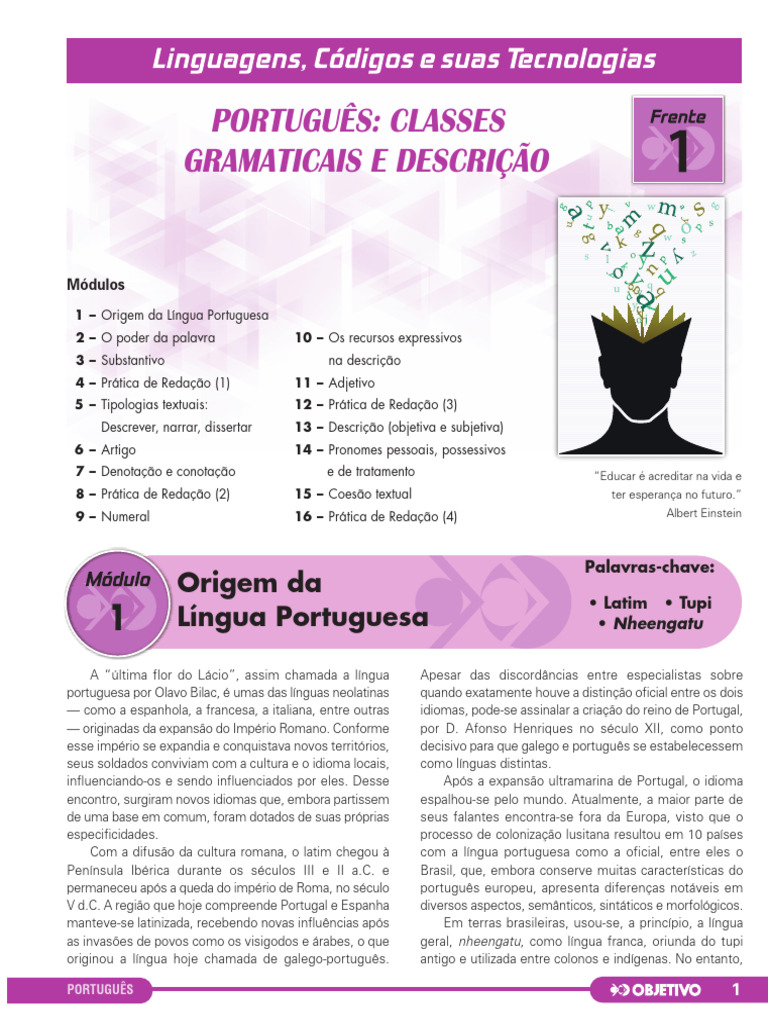 Teoria - AM | PDF | Português (idioma) | Brasil