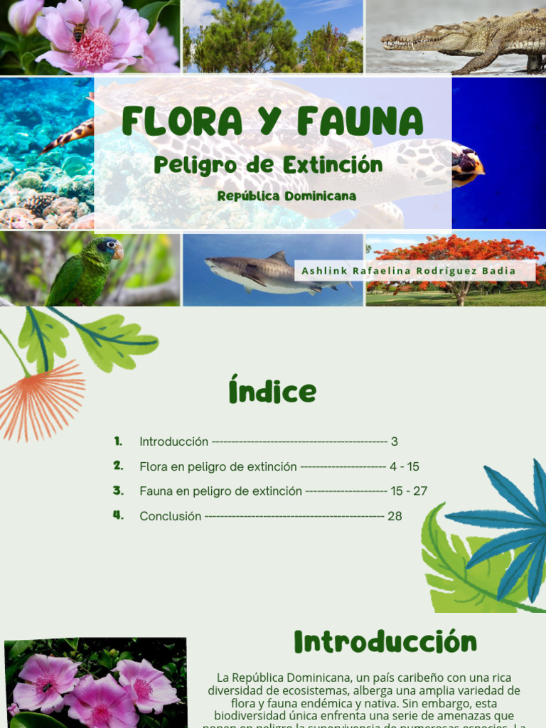Flora y fauna en peligro en RD | PDF | Arboles | Zoología