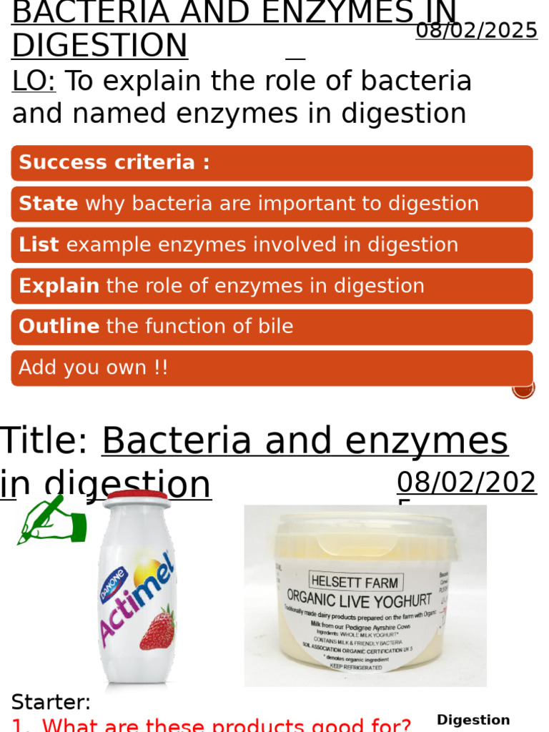 Bacteria and Enzyme - SC - Yr8 | PDF | Digestion | Enzyme