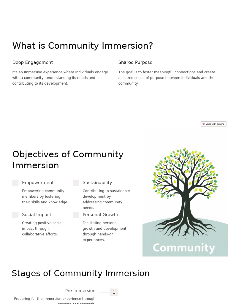 Community Immersion Guide | PDF | Community | Evaluation