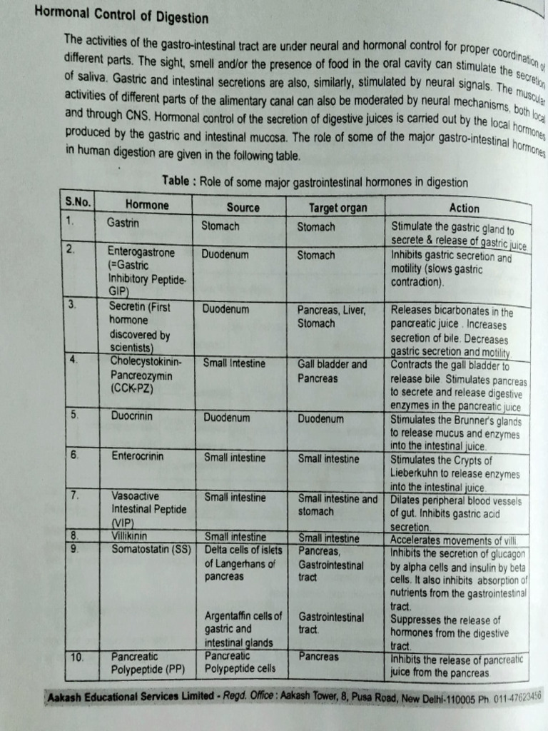 DIGESTION ENZYMES | PDF | Pancreas | Stomach
