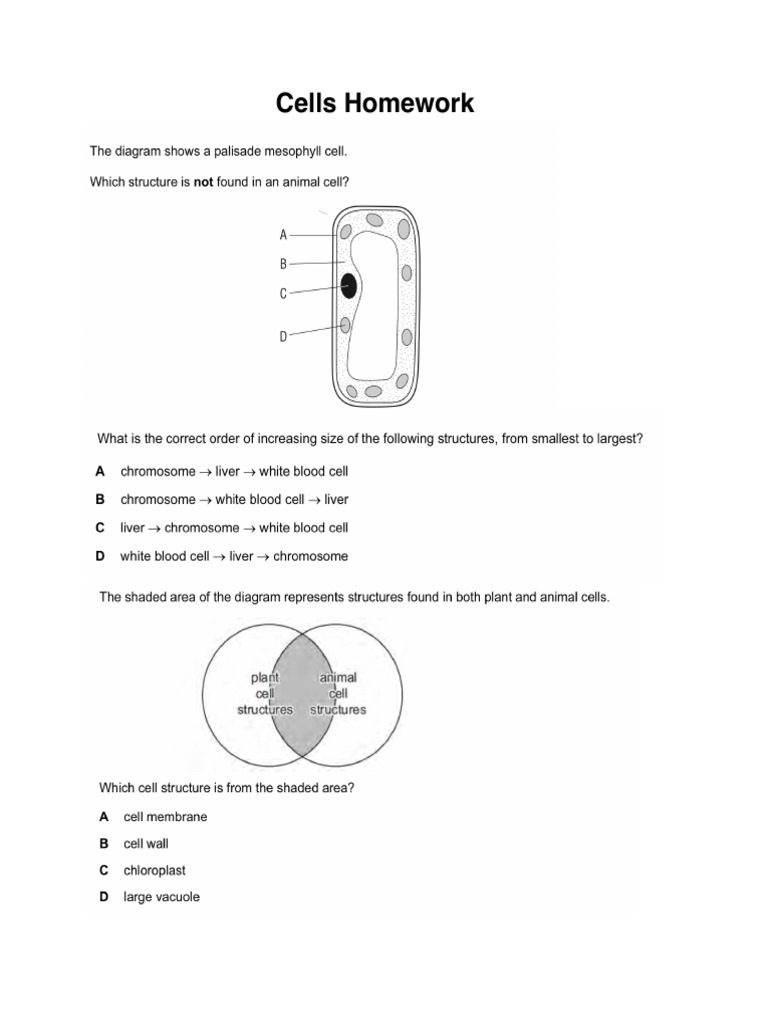 Chapter 2 (Cells) Homework | PDF
