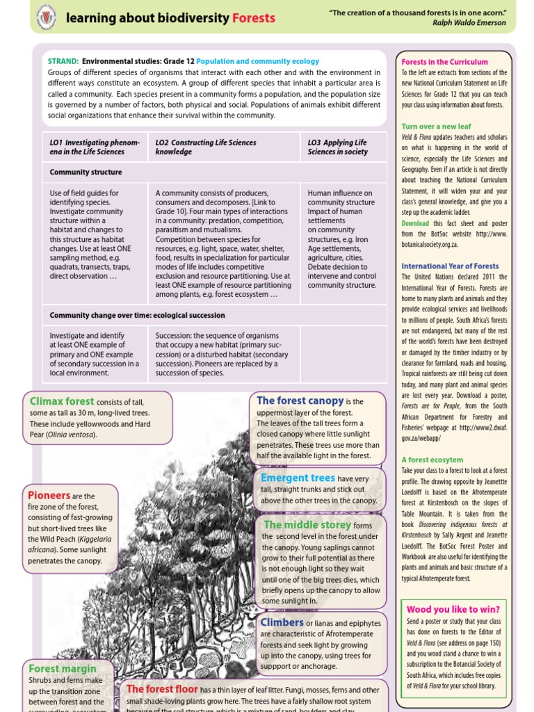 Lab Pages Dec Forests | PDF | Trees | Grassland