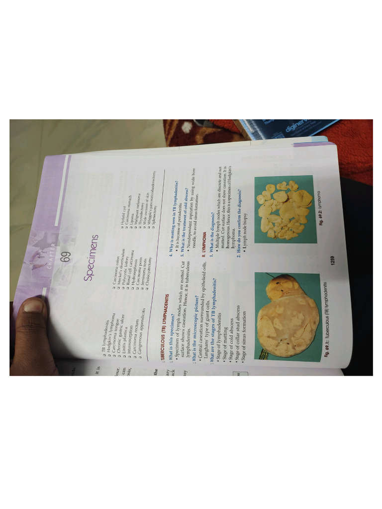 Specimen Book | PDF