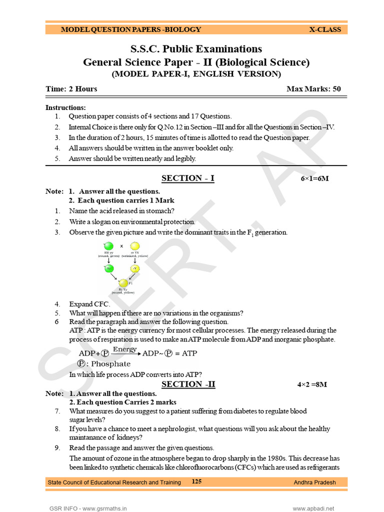 Biology Model Question Paper X-Class | PDF | Digestion | Chlorofluorocarbon