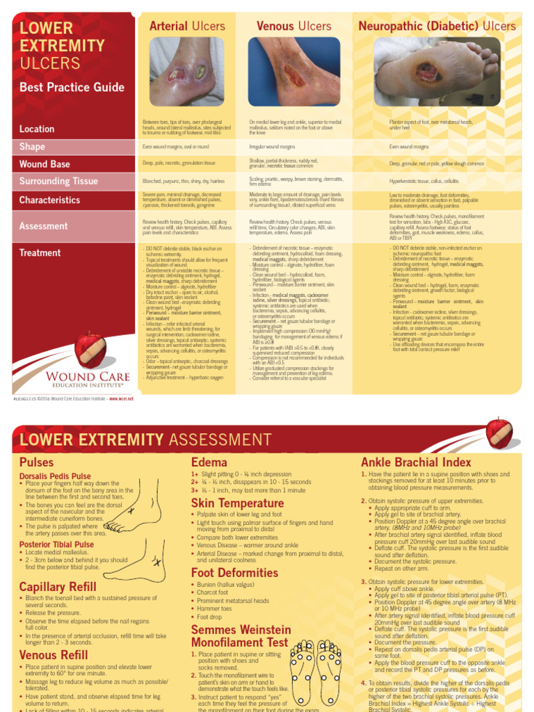 Lower Extremity Ulcer Assessment Guide | PDF | Medical Specialties