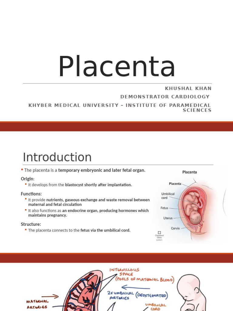 Lecture 18 - Placenta N | PDF | Uterus | Placenta