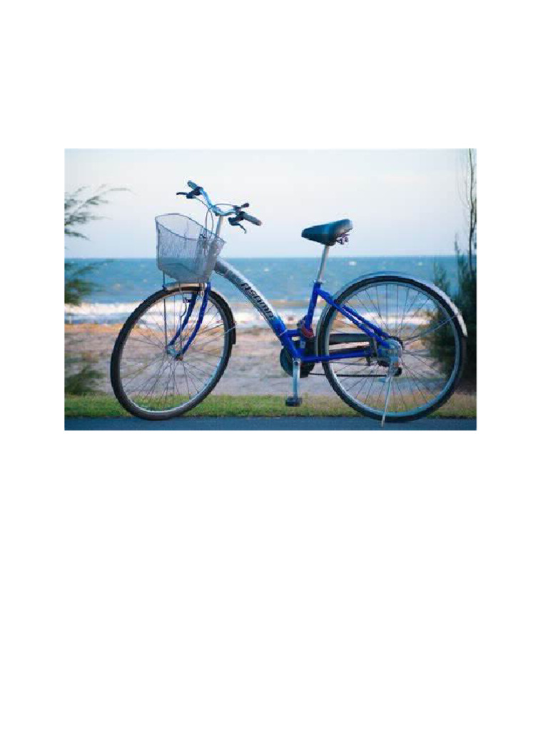 Means of Transport | PDF