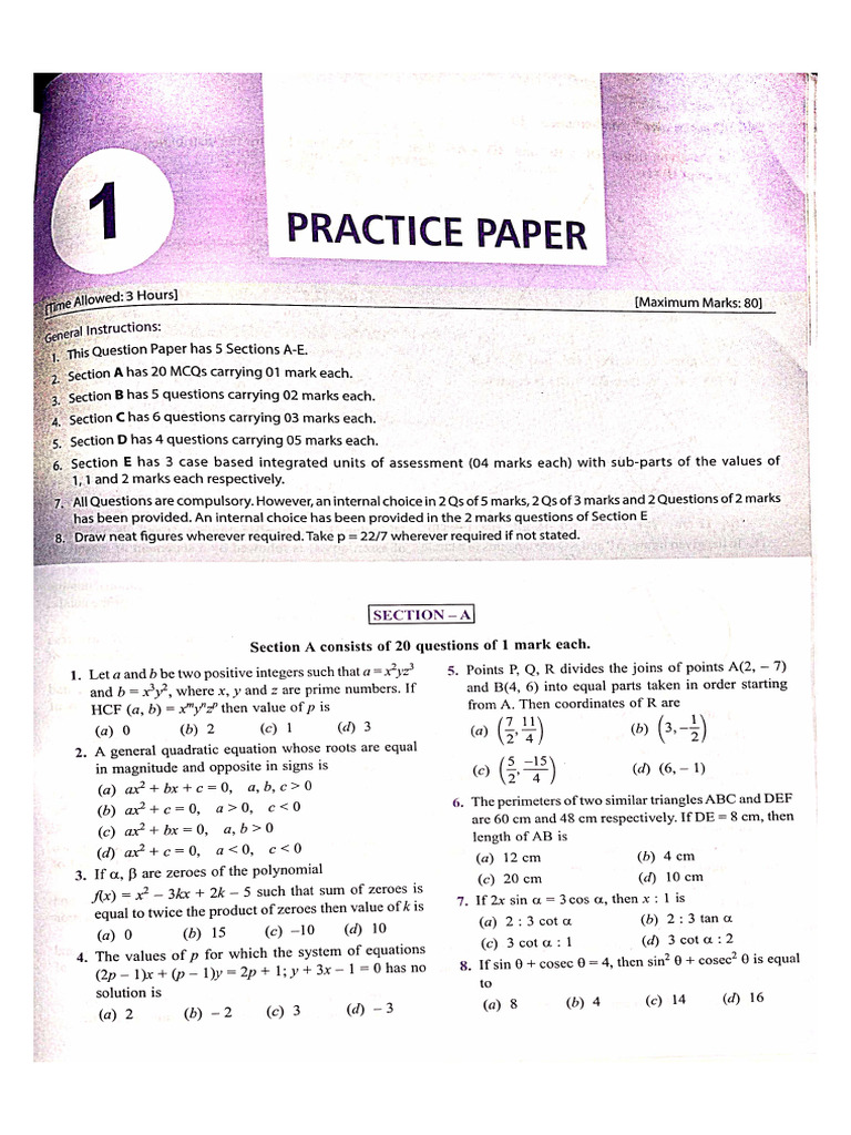 Mathematics Standard Practice Paper | PDF
