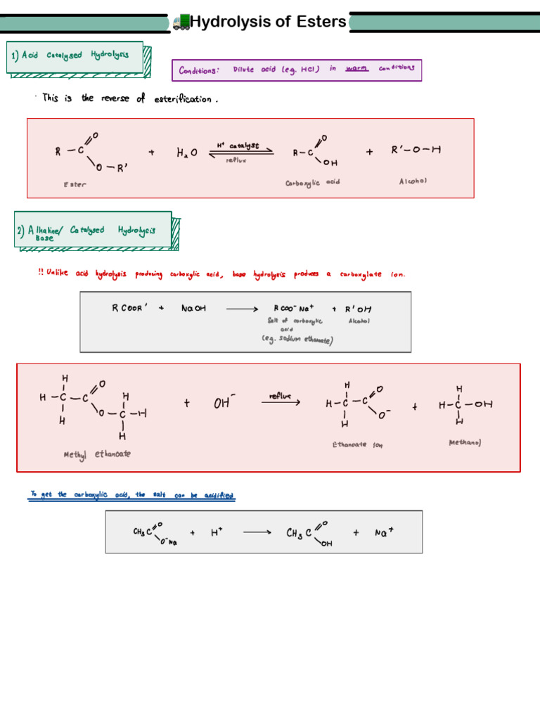 Hydrolysis of Esters - FactRecall | PDF | Ester | Carboxylic Acid
