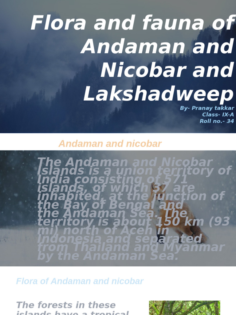 Andaman and Nicobar Flora Overview | PDF