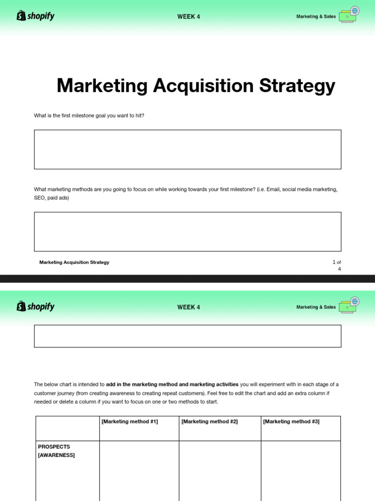 Marketing Acquisition Strategy | PDF