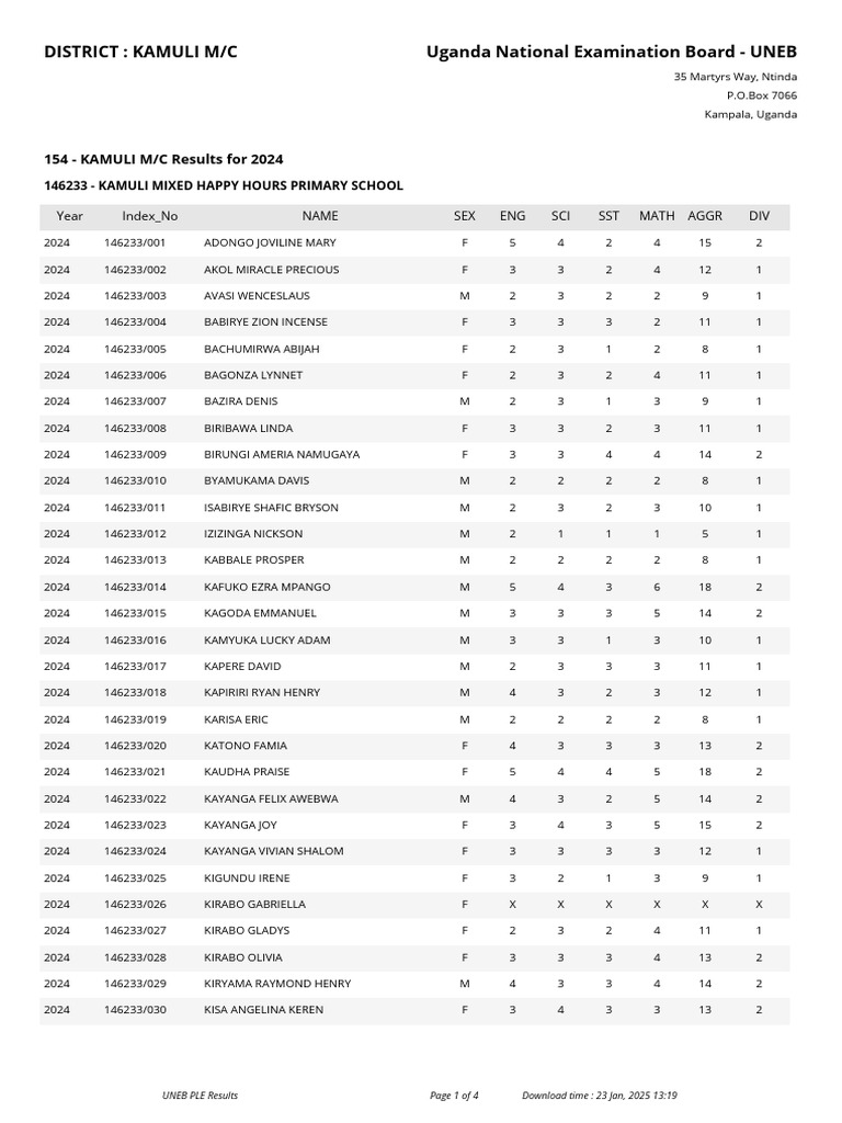 Kamuli PLE Results 2024 Summary | PDF