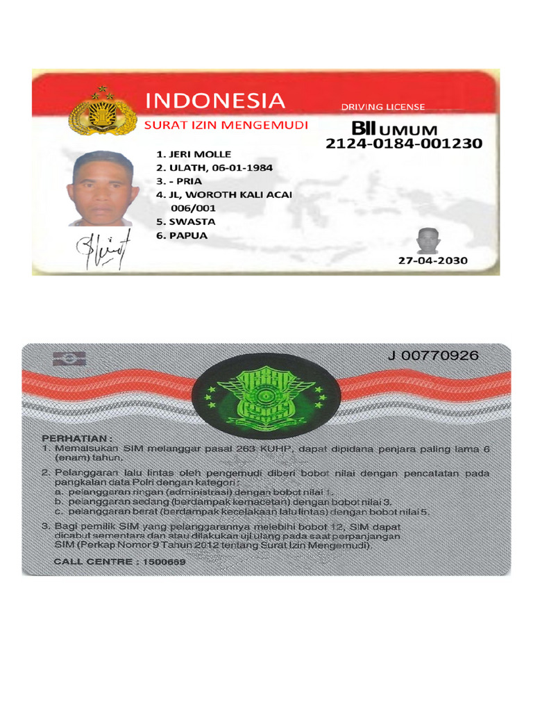 Sim_20250106_100734_0000 | PDF