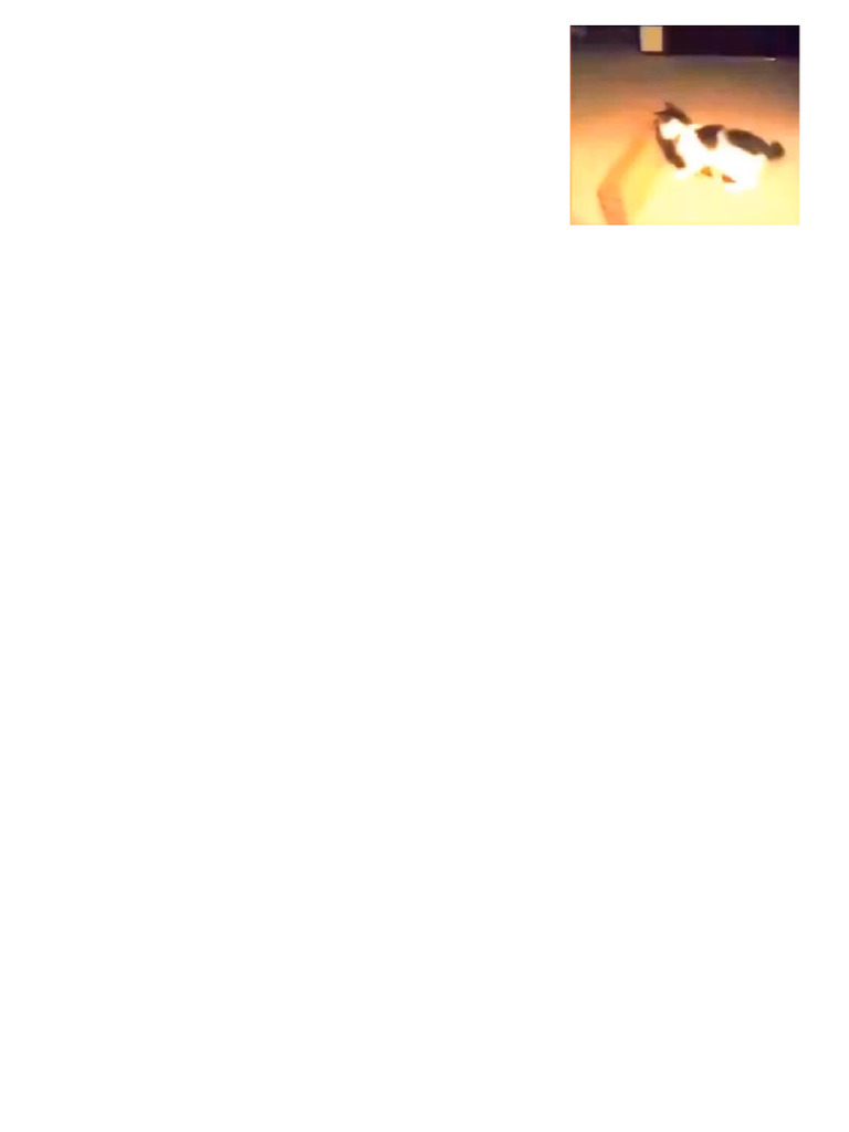 Checkpoint Pdf