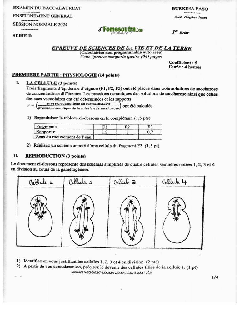 SUJET+BAREME BAC D 2024 BF SVT Serie D 1ier Tour by TEHUA | PDF