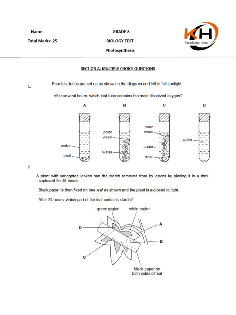 GRADE 8 BIO Photosynthesis Test 2 | PDF | Photosynthesis | Soil