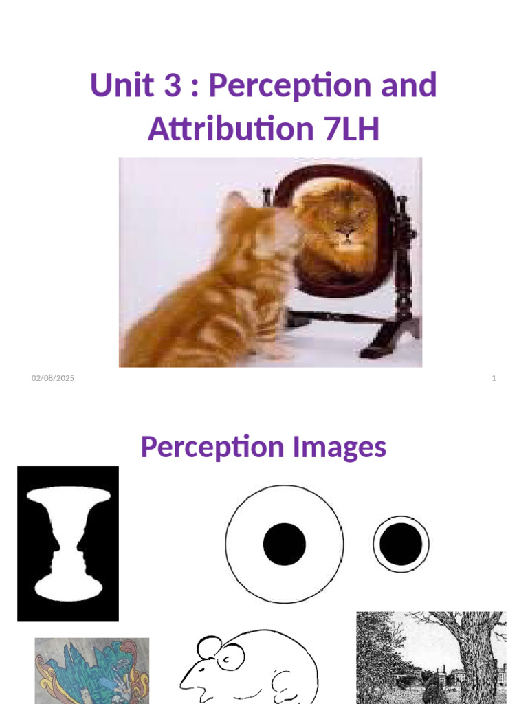 Unit 3 Perception and Attribution | PDF | Perception | Decision Making