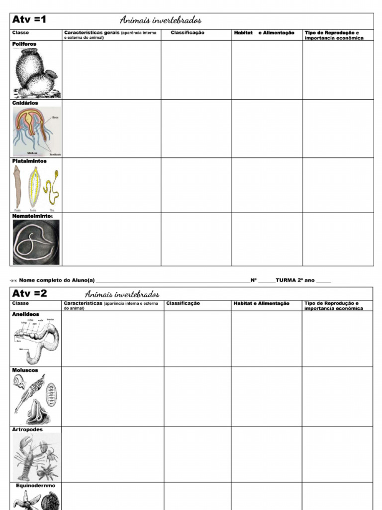 2024-TRAB - Classes Dos Invertebrados - Docx - Page-0001 | PDF